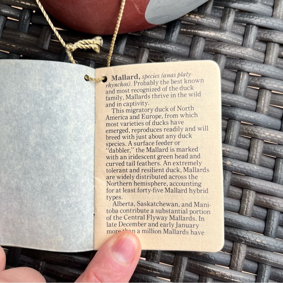 stoney point decoys | Office | Solid Wood Hand Painted Mallard Drake ...